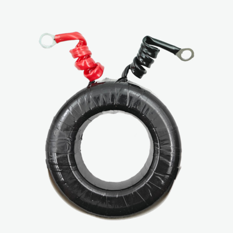 Current Transformer (CT) 300/5 - TAMCO Current Transformer ...